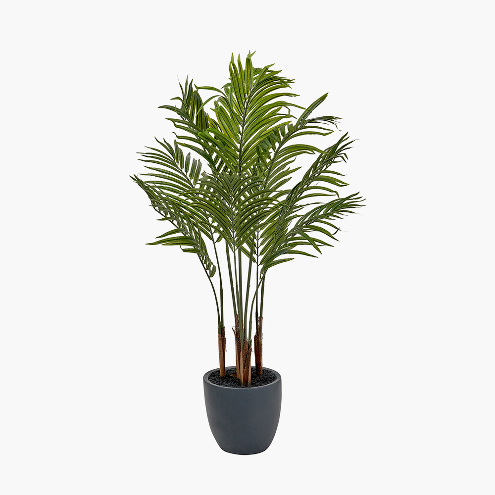 Pacific Lifestyle Limited - Areca Palm Plant in Pot