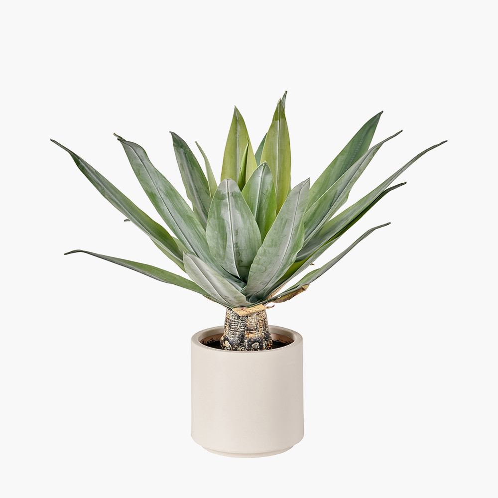 Pacific Lifestyle Limited - Agave Plant in Pot